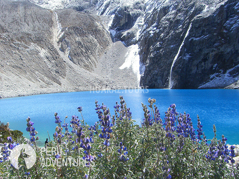 Laguna 69: Tours, Prices and Schedules 2025